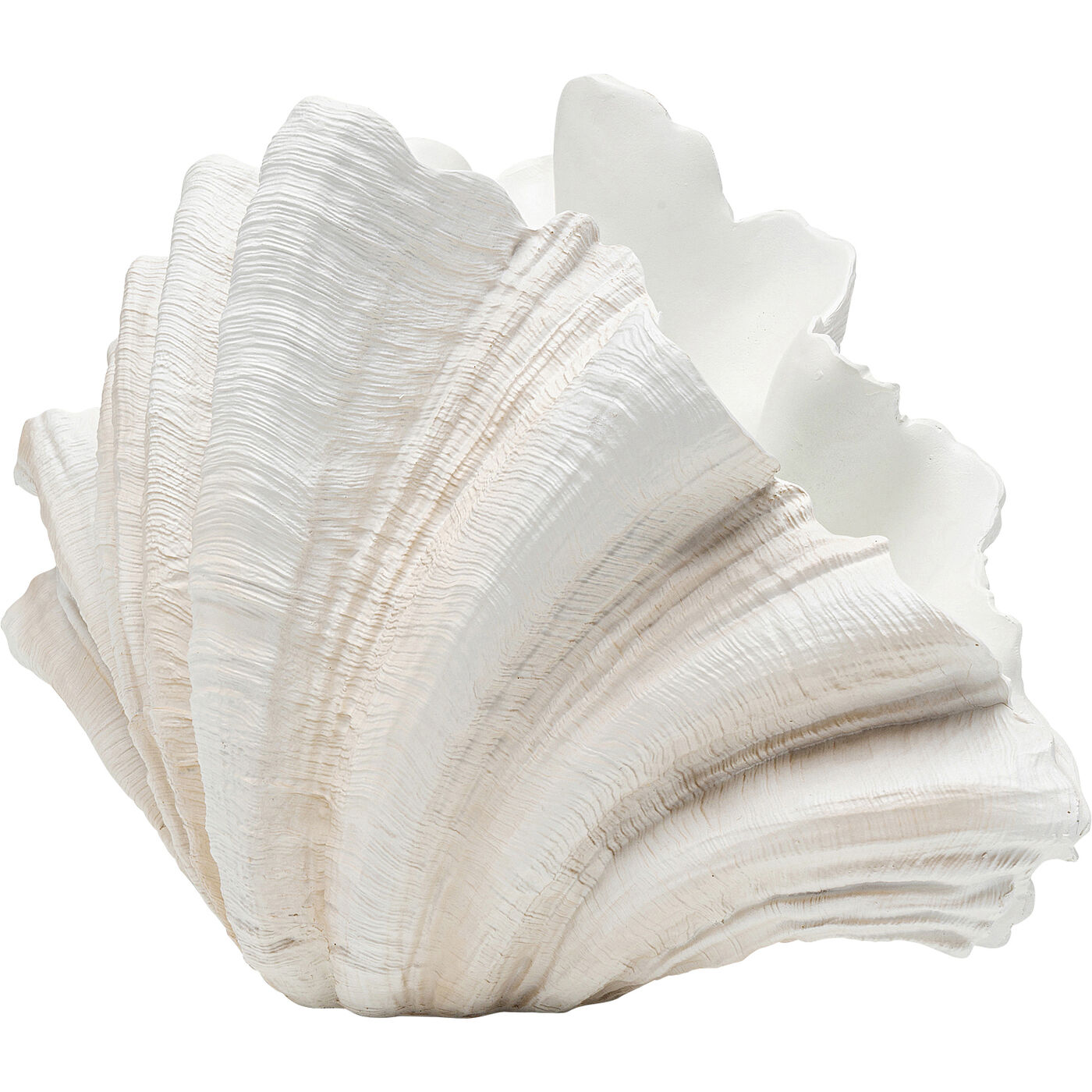 Deco Vase Concha 57cm - KARE USA