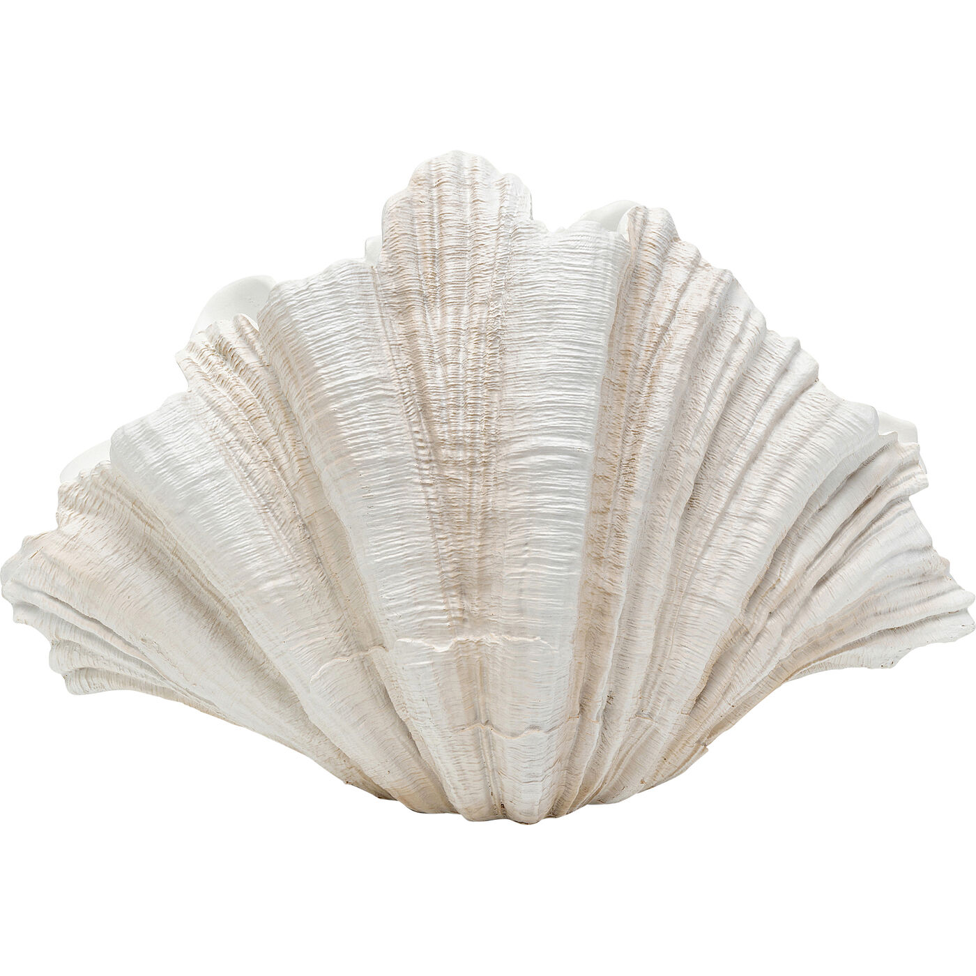 Deco Vase Concha 57cm - KARE USA